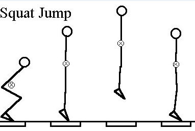 Countermovement Jump or Squat Jump?