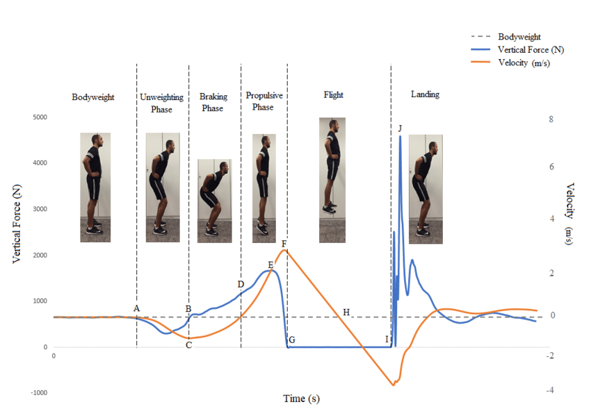 What drives CMJ performance?