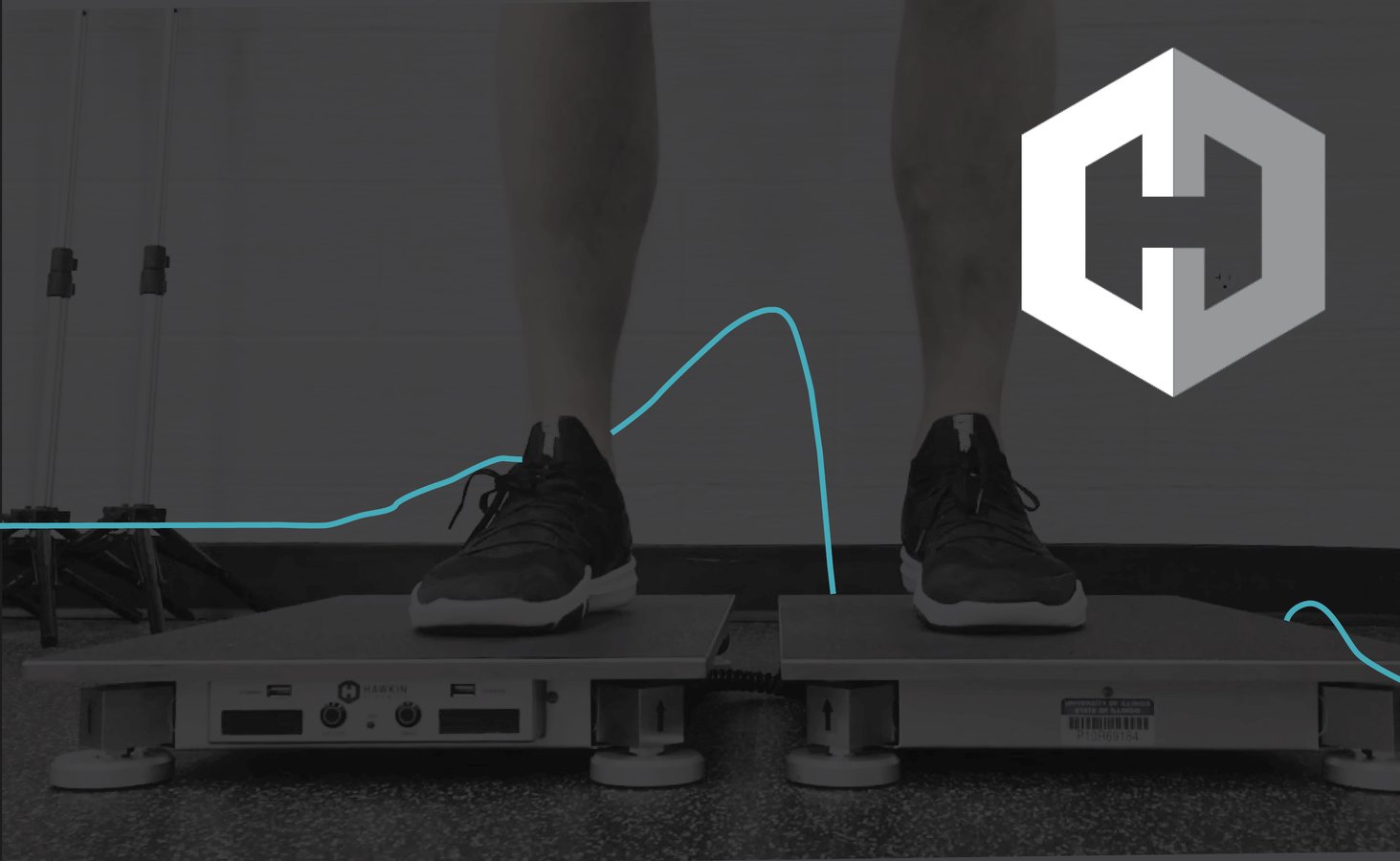 The Countermovement jump test - getting started