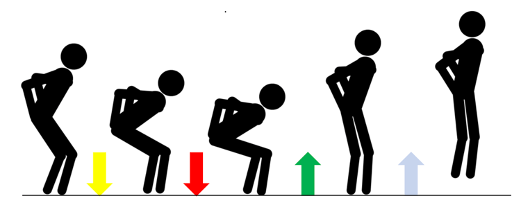 Countermovement Jump Metrics