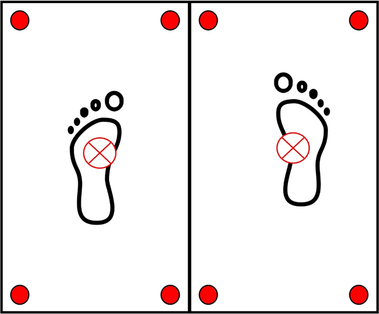 Center of Pressure (COP): Everything you need to know and how to ...